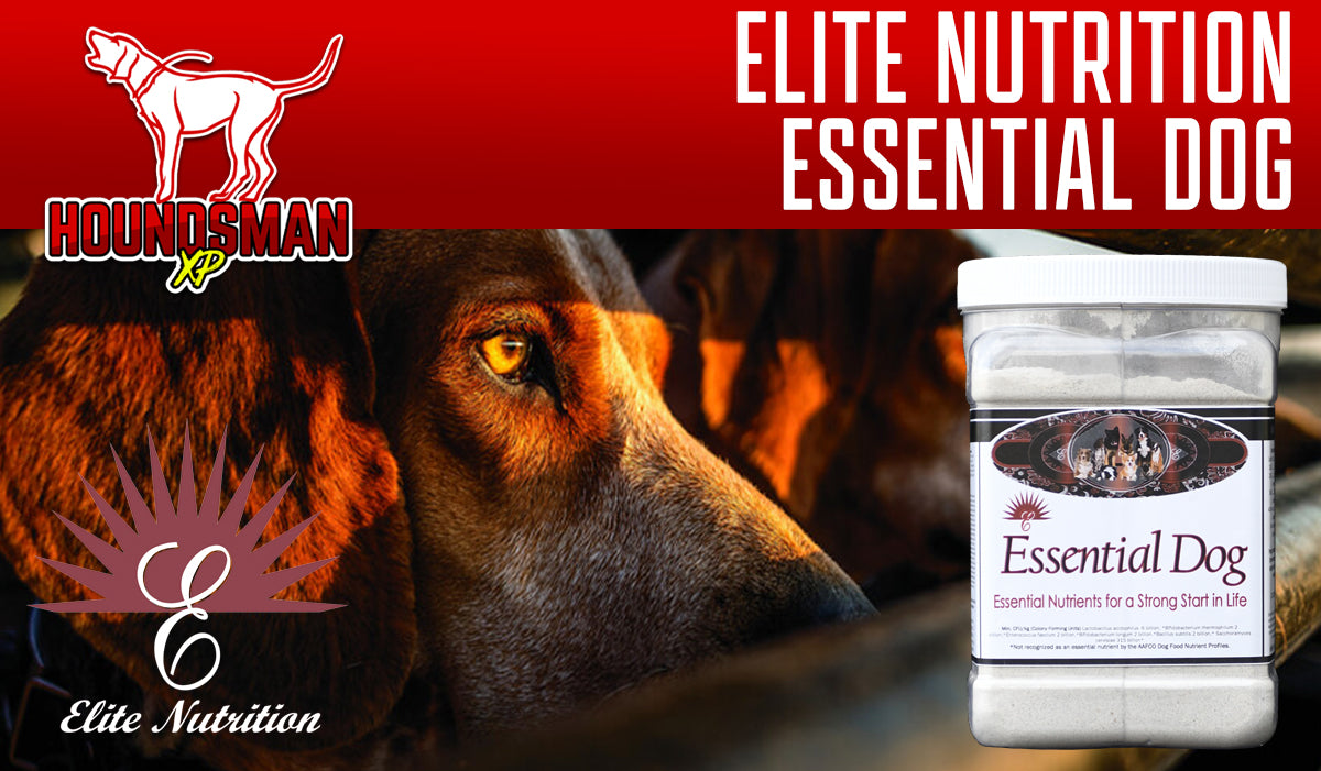 Essential Dog by Elite Nutrition | Boost Performance & Save with ...
