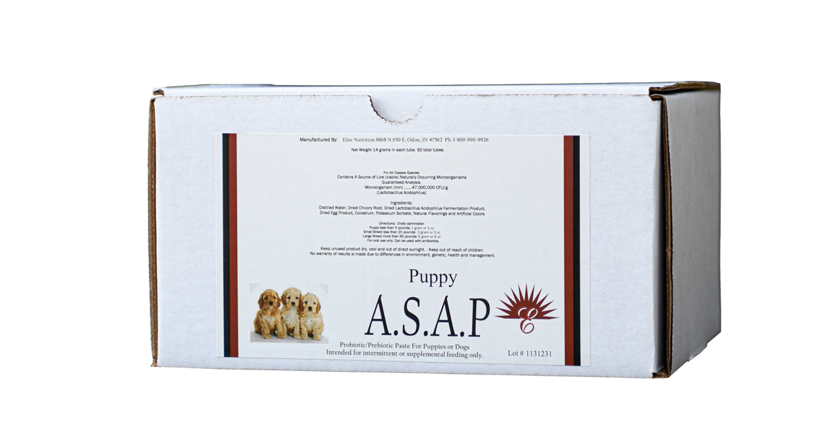A.S.A.P. Puppy – Houndsman XP
