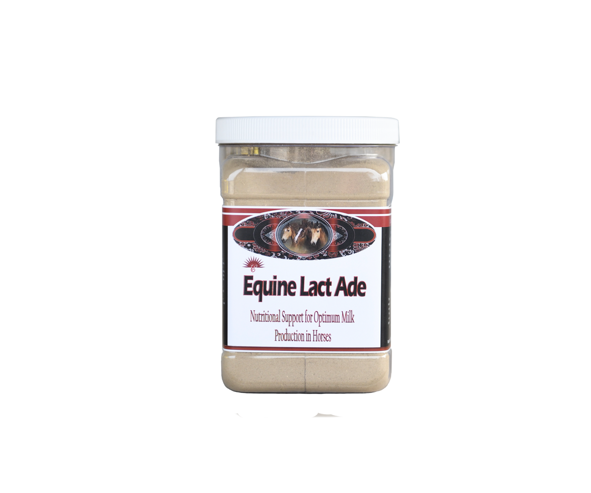 Equine LactAde – Houndsman XP