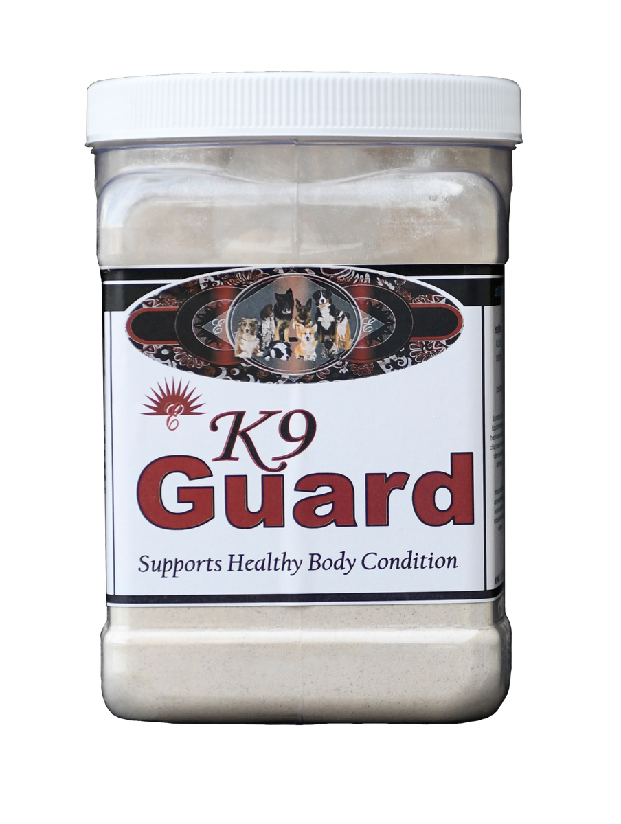 K9 Guard – Houndsman XP