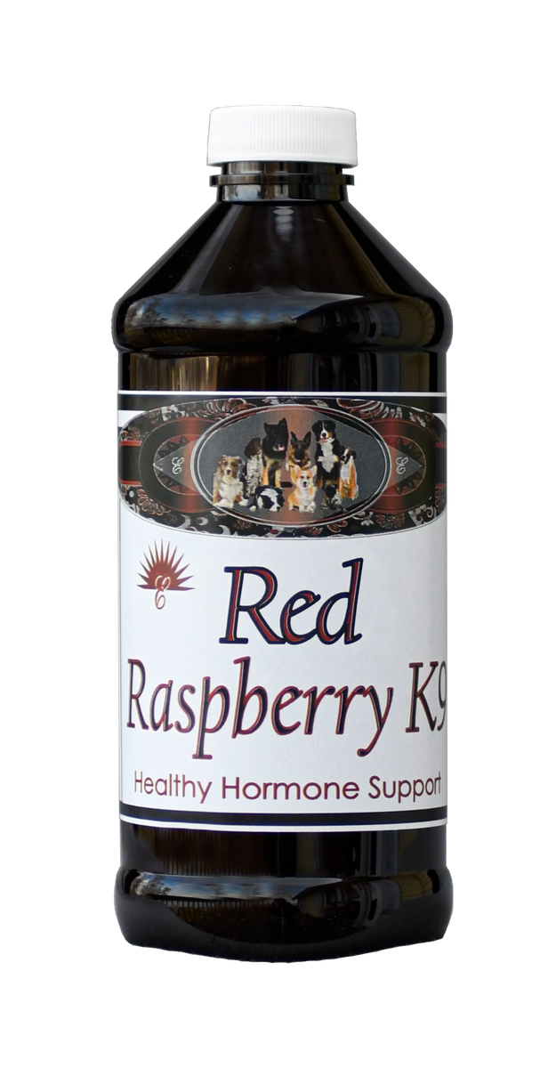 Red Raspberry K9 – Houndsman XP