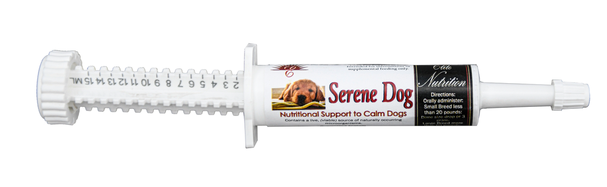 Serene Dog – Houndsman XP