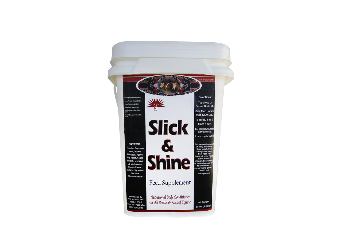 Slick & Shine – Houndsman XP