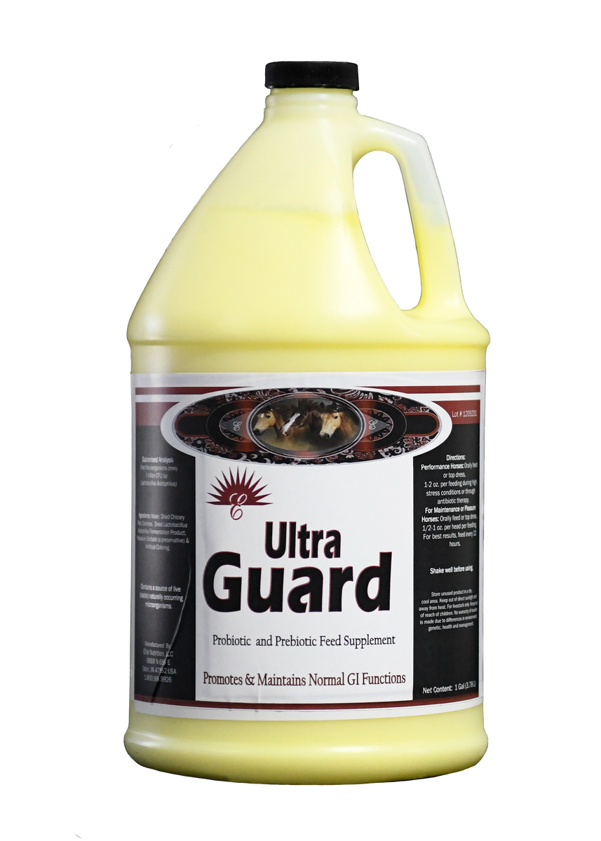 Ultra Guard – Houndsman XP